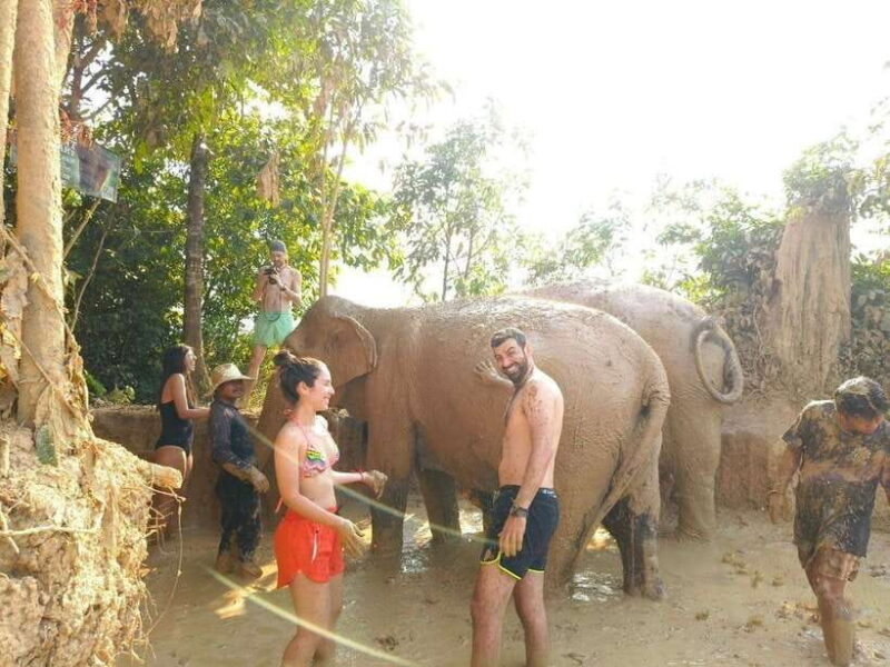 From Siem Reap: Elephant Sanctuary Experience with Transfers - Why This Experience Stands Out