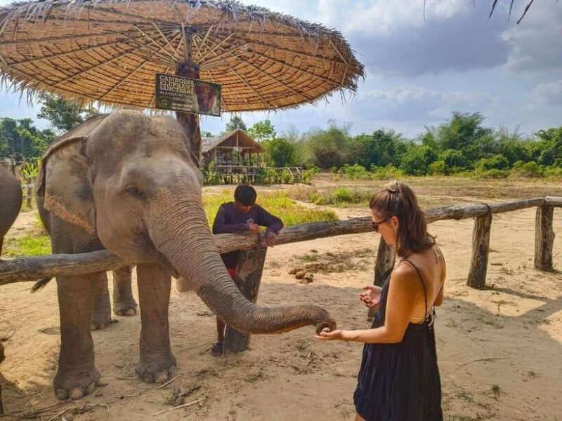 From Siem Reap: Elephant Sanctuary Experience with Transfers - FAQ