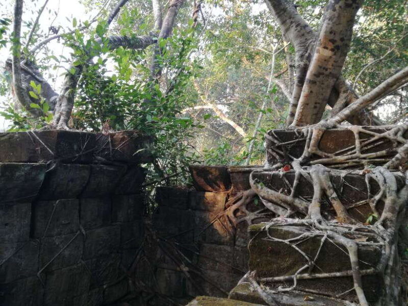 From Siem Reap: Half-Day Tour to Beng Mealea Temple - Authentic Experiences and Reviewer Insights