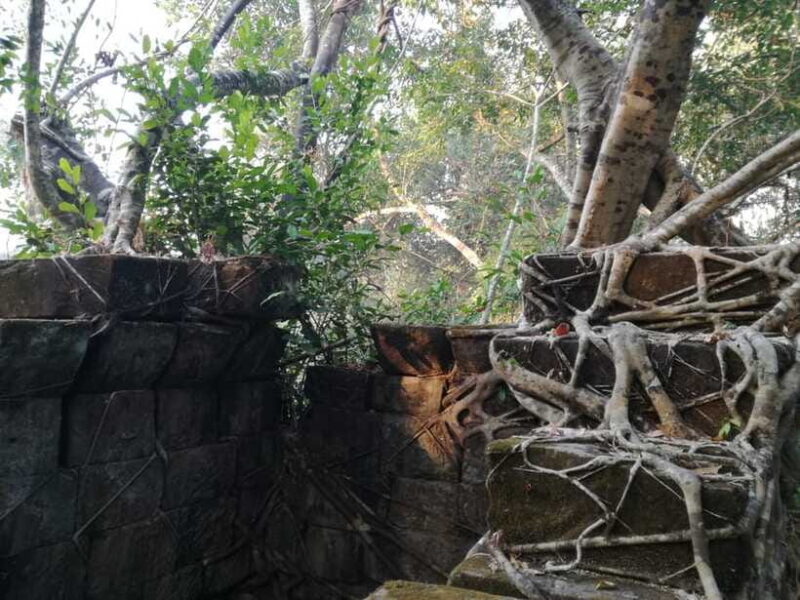 From Siem Reap: Half-Day Tour to Beng Mealea Temple - Practical Tips for Visitors