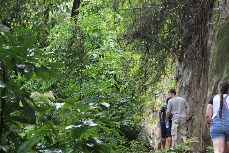 From Siem Reap: Phnom Kulen National Park Trekking Tour - Why This Tour Is a Great Choice