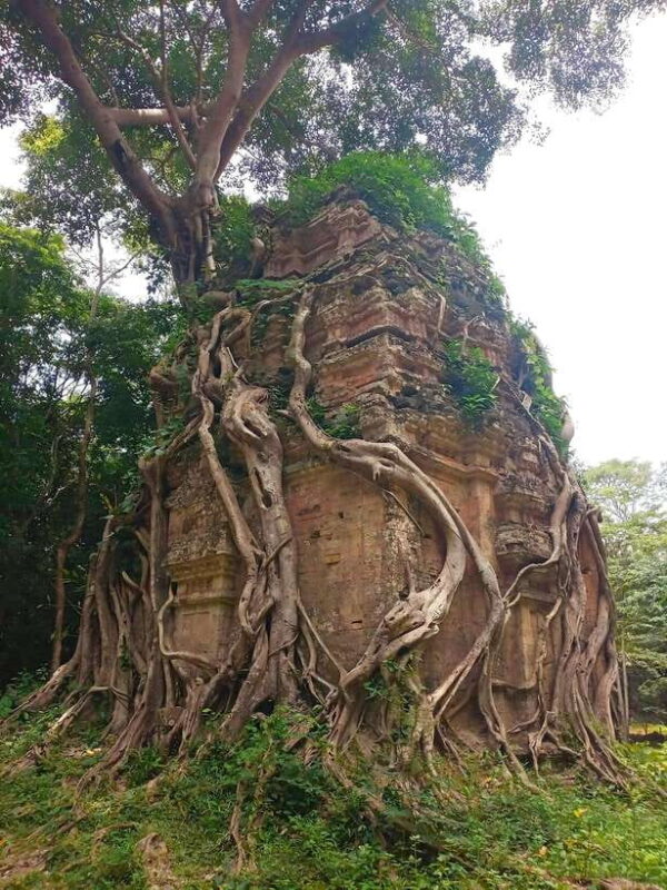 From Siem Reap: Sambor Prei Kuk and Kompong Kdei Day Trip - Key Points