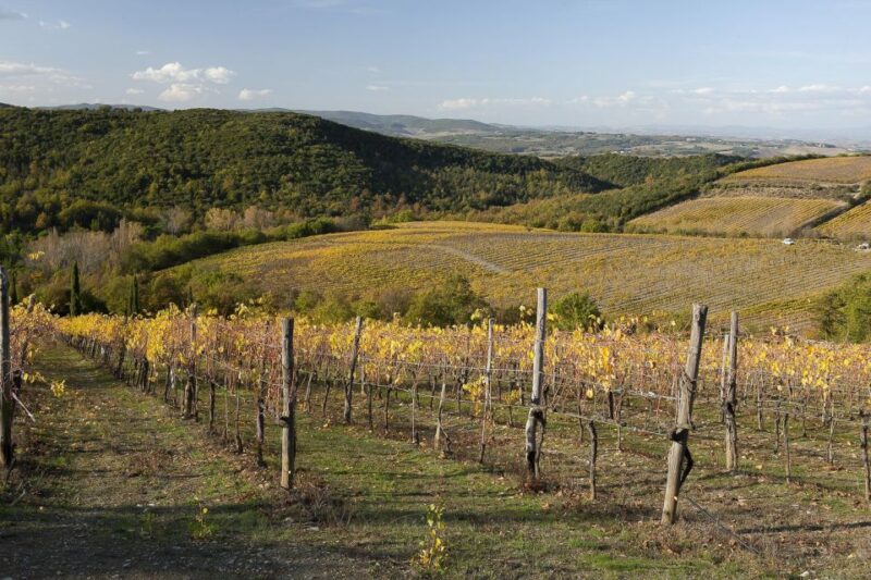 From Siena: Brunello di Montalcino Guided Wine Tour W/ Lunch - Final Thoughts