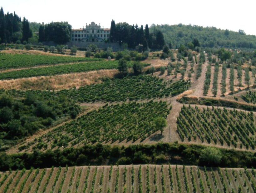 From Siena: Chianti and Castles Tour with Wine Tastings - Who Will Love This Tour?