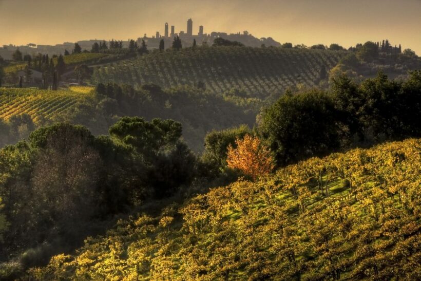 From Siena: Chianti and San Gimignano Sunset Tour - Key Points