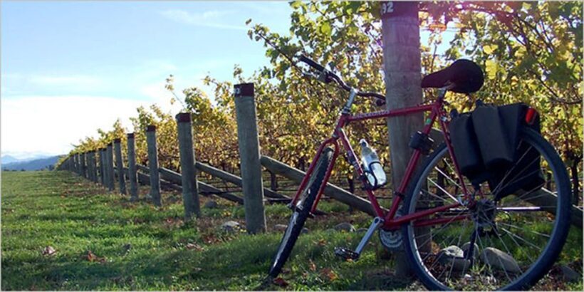 From Siena: Chianti Countryside E-Bike Tour w/ Lunch & Wine - Key Points