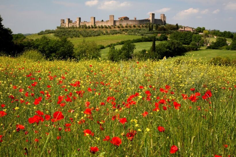 From Siena: Chianti Countryside E-Bike Tour w/ Lunch & Wine - FAQ