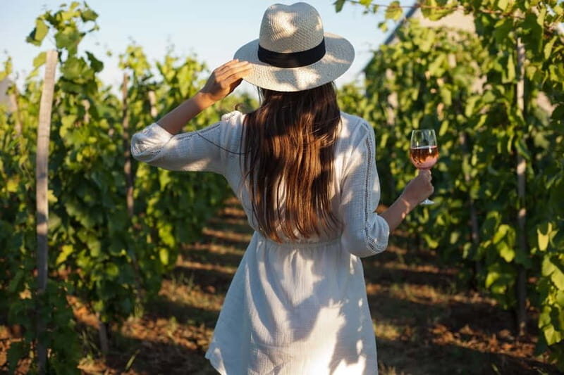 From Siena/Chianti: Dinner & Drinks in the Chianti Vineyards - Key Points
