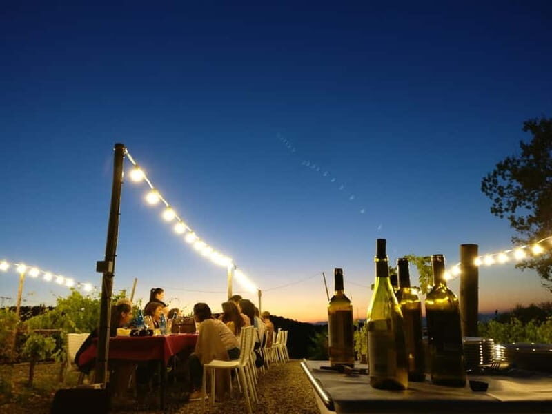 From Siena/Chianti: Dinner & Drinks in the Chianti Vineyards - A Scenic Journey from Siena to Chianti