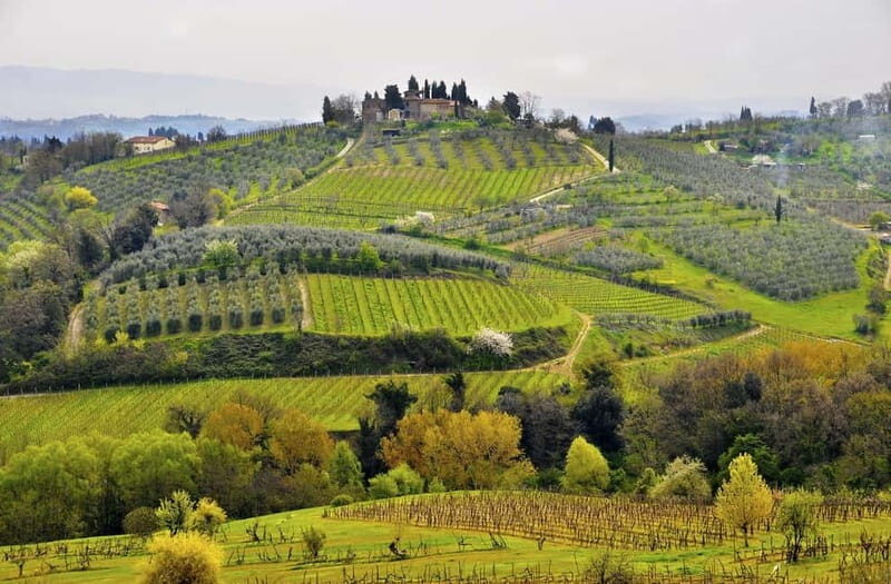 From Siena/Chianti: Dinner & Drinks in the Chianti Vineyards - The Candle-Lit Dinner: Tuscany in Every Bite