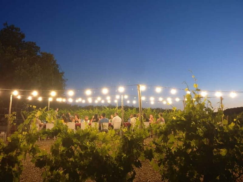 From Siena/Chianti: Dinner & Drinks in the Chianti Vineyards - Practical Considerations