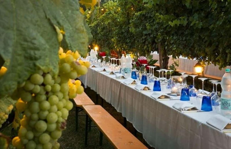 From Siena/Chianti: Dinner & Drinks in the Chianti Vineyards - Value for Money