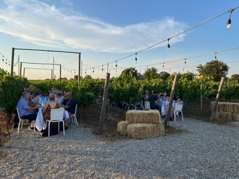 From Siena/Chianti: Dinner & Drinks in the Chianti Vineyards - The Sum Up