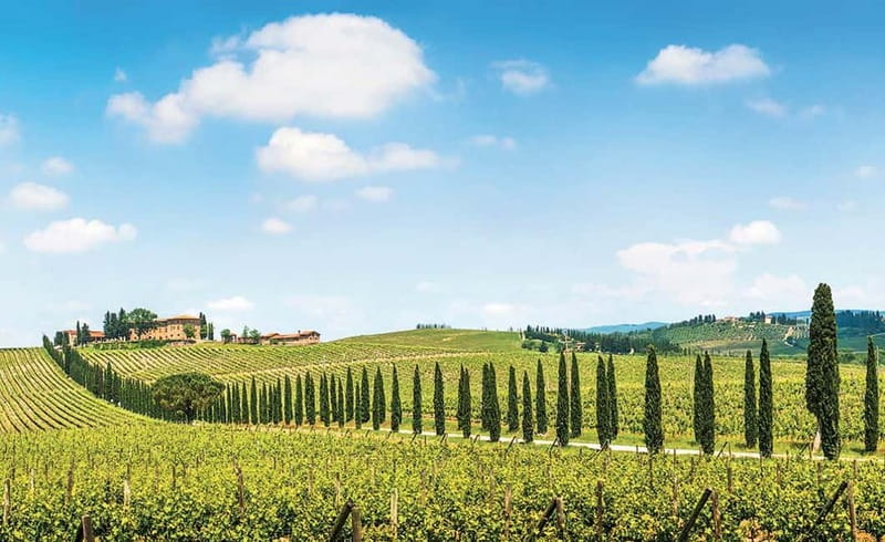 From Siena: Chianti Electric Bike Tour - Key Points