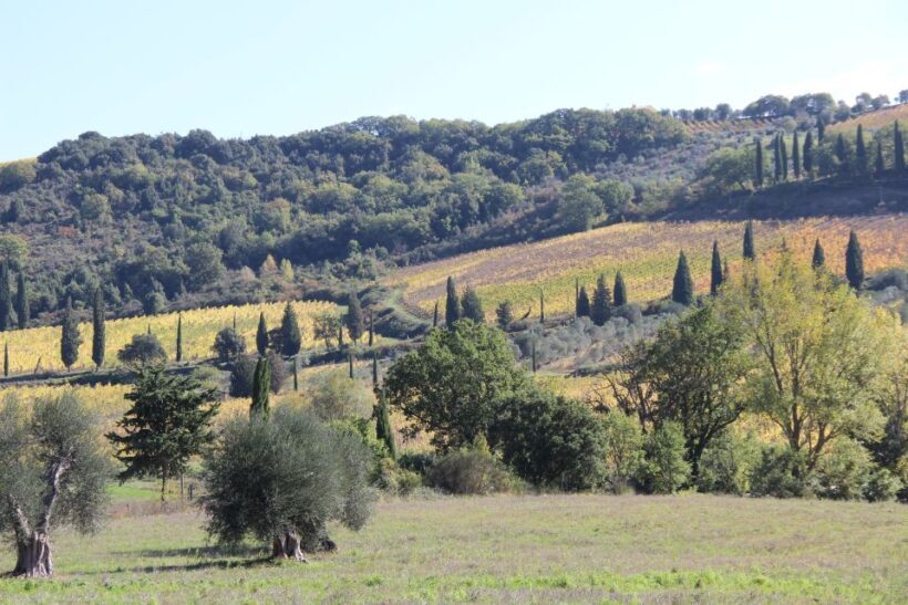 From Siena: Chianti Wine Tour with Lunch - The Sum Up