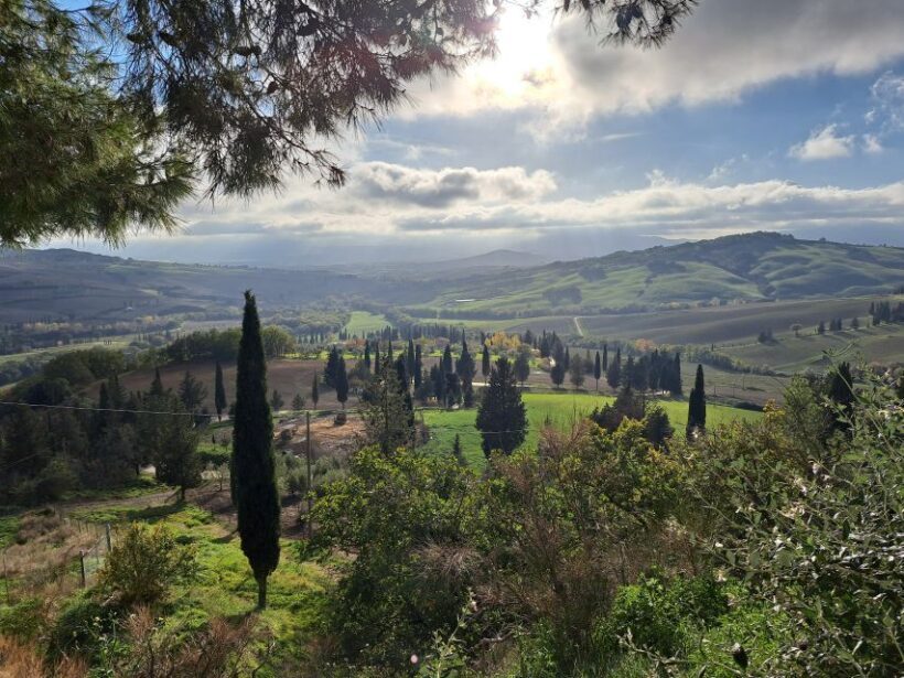 From Siena: Pienza and Montepulciano Small-Group Tour - A Scenic Drive into Tuscany’s Heart