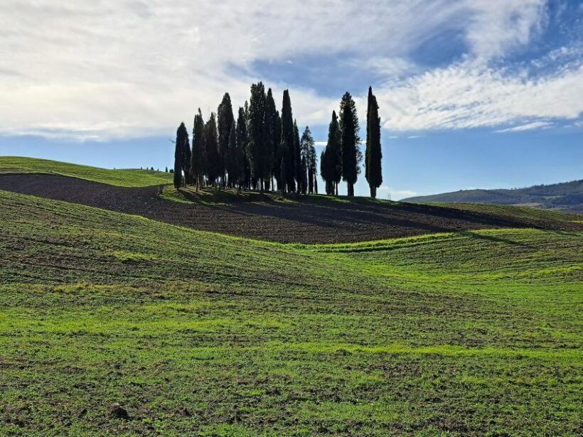 From Siena: Pienza and Montepulciano Small-Group Tour - Who Will Love This Tour?