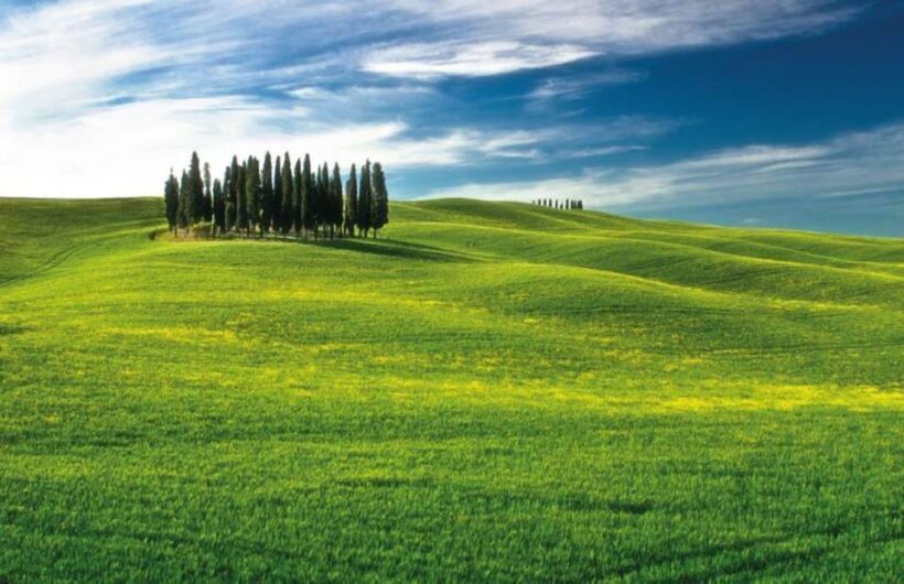 From Siena: San Gimignano, Chianti, and Montalcino Day Trip - Key Points