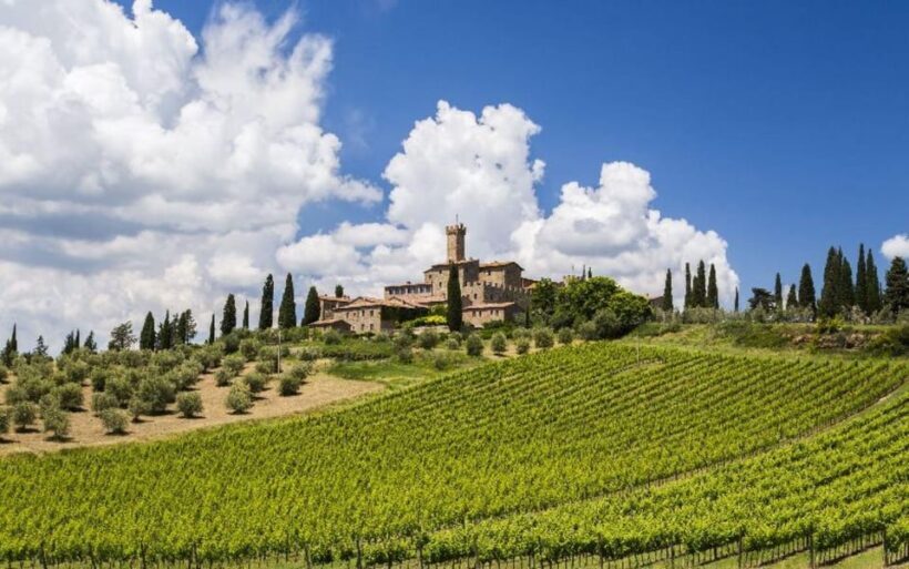 From Siena: San Gimignano, Chianti, and Montalcino Day Trip - The Heart of Wine: Chianti