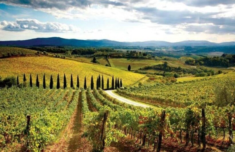 From Siena: San Gimignano, Chianti, and Montalcino Day Trip - Exploring the UNESCO World Heritage Sites: Val d’Orcia