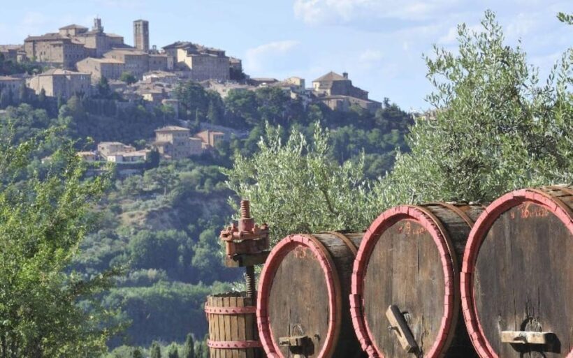 From Siena: San Gimignano, Chianti, and Montalcino Day Trip - Transportation and Comfort