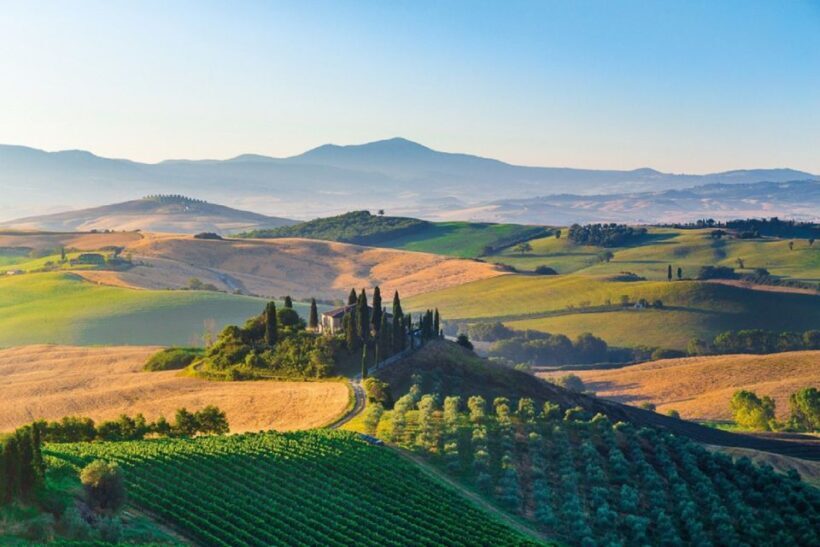 From Siena: Tuscany Hills Wine Tour - Key Points