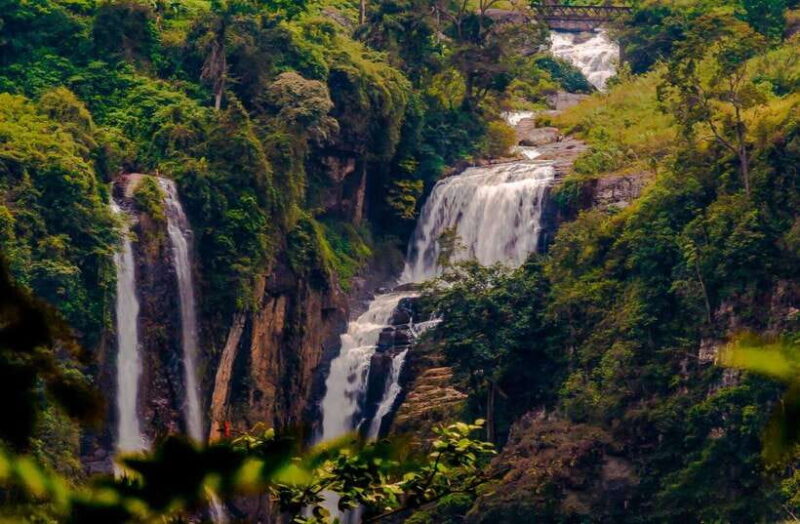 From Sigiriya: 6-Day Sri Lanka Tour with Yala Safari - Exploring the 6-Day Sigiriya to Yala Safari Tour: A Genuine Look