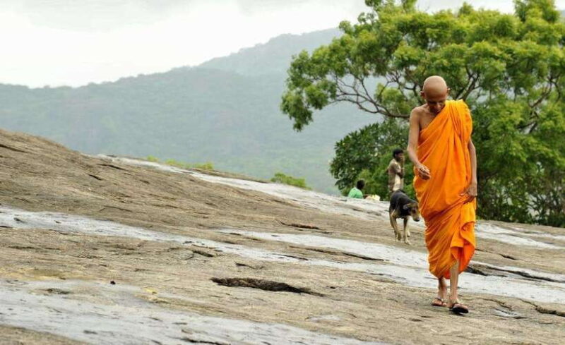 From Sigiriya: 6-Day Sri Lanka Tour with Yala Safari - Final Thoughts