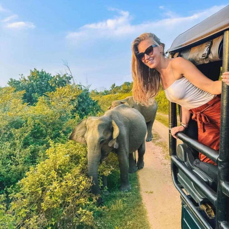 From Sigiriya : Hurulu Eco Park Safari : All Inclusive - Key Points