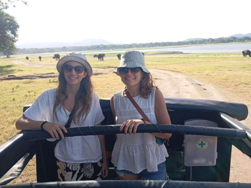 From Sigiriya: Minneriya National Park Half-Day Jeep Safari - Key Points