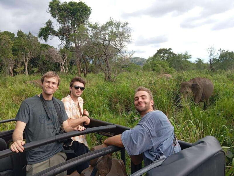 From Sigiriya: Minneriya National Park Half-Day Jeep Safari - The Practicalities — What You Need to Know