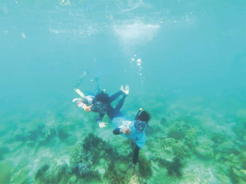From Singapore : Private Batam Island Snorkeling and Canoe - Key Points