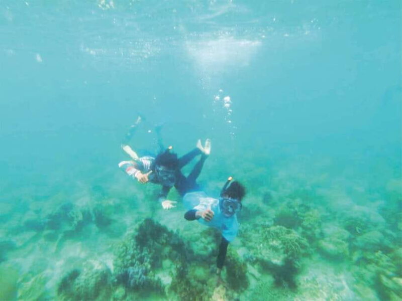 From Singapore : Private Batam Island Snorkeling and Canoe - The Bottom Line