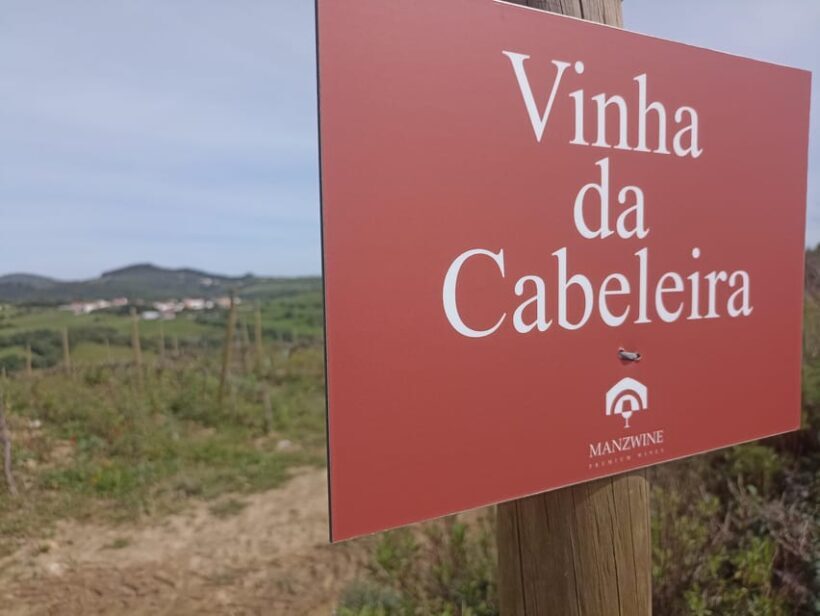 From Sintra, Mafra, or Ericeira: Hike and Wine Tour - Who Is This Tour Best For?