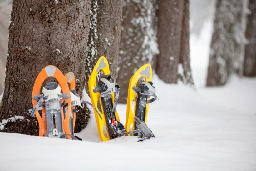 From Sirkka: Levi Summit Guided Nature Snowshoeing Tour - Key Points