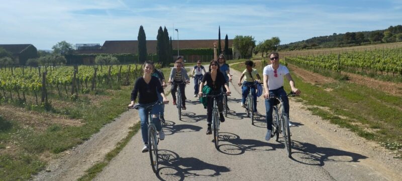 From Sitges: Cycling Tour with Winery visit and Tasting - Analyzing the Value