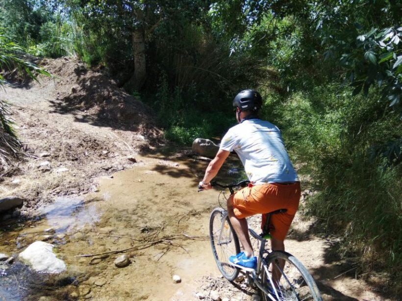 From Sitges: Paella Masterclass with Drink and Bike Ride - Frequently Asked Questions