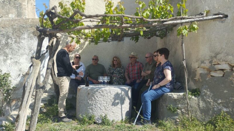 From Sitges: Wine Tasting at 2 Wineries, Snacks and Pickup - The Wineries: Old Meets New