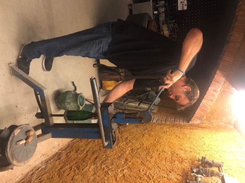 From Sitges: Wine Tasting at 2 Wineries, Snacks and Pickup - Quality of Wine Tastings and Snacks