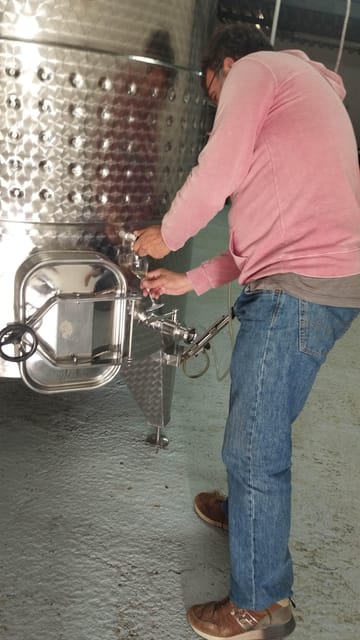 From Sitges: Wine Tasting at 2 Wineries, Snacks and Pickup - Who Will Love This Tour?