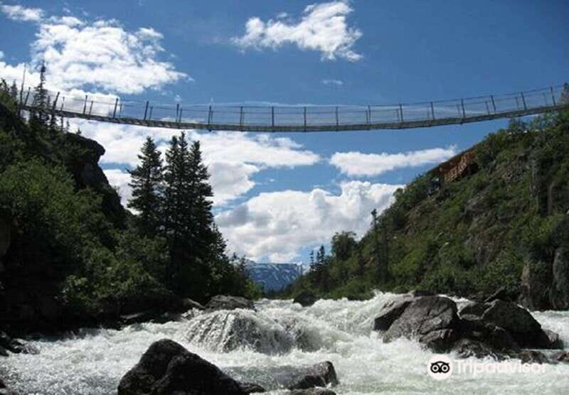 From Skagway: White Pass and Yukon Suspension Bridge Tour - From Skagway: White Pass and Yukon Suspension Bridge Tour — a detailed look