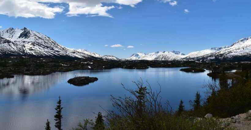 From Skagway: White Pass Summit Guided Bus Tour - Key Points