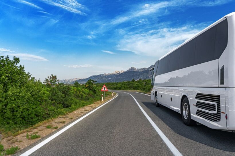 From Skagway: White Pass Summit Guided Bus Tour - The Value Proposition: Is This Tour Right for You?