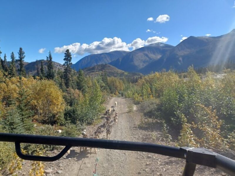 From Skagway: Yukon Sled Dog Mushing & White Pass Combo - Final Thoughts: Who Should Consider This Tour?