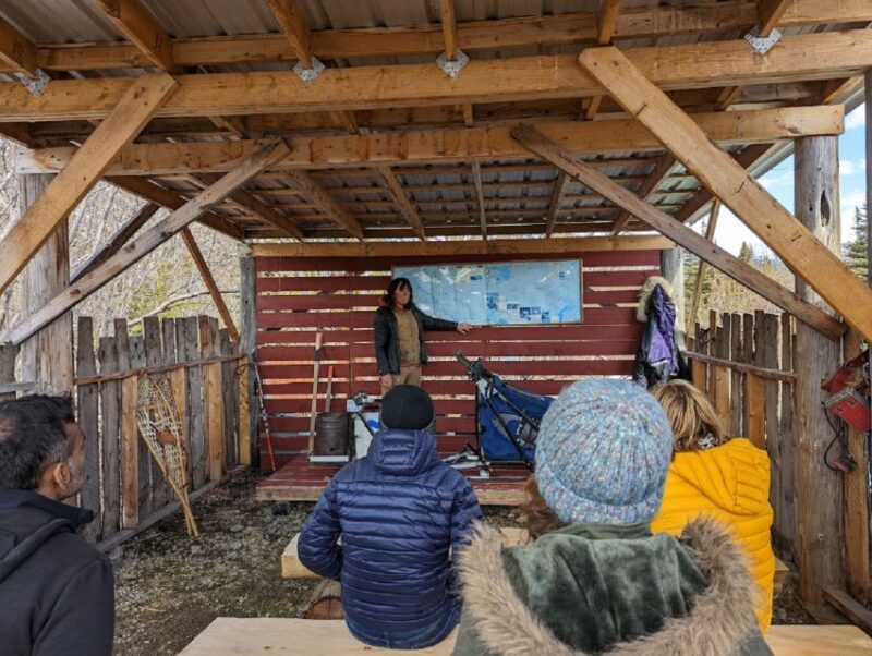 From Skagway: Yukon Sled Dog Mushing & White Pass Combo - FAQ