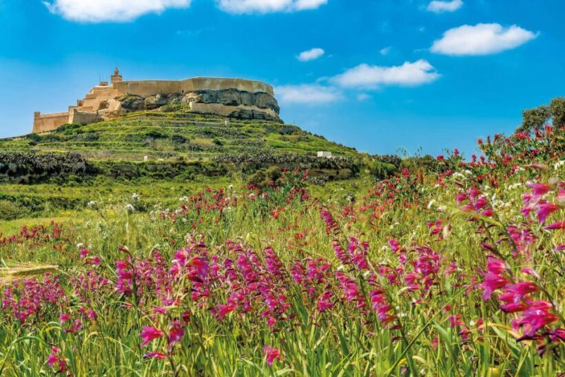 From Sliema: Gozo, Comino & The Blue Lagoon Boat & Bus Tour - FAQs
