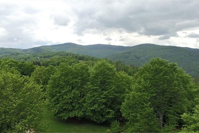 From Sofia: Serbia and Macedonia Trip - FAQ