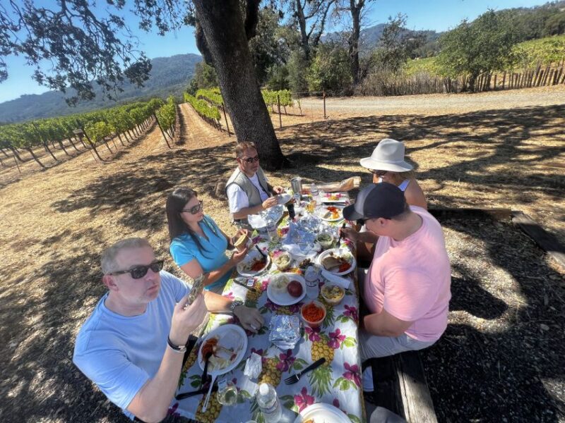 From Sonoma: Napa Valley Classic Sidecar Tour to 3 Wineries - The French-Style Picnic: A Special Touch