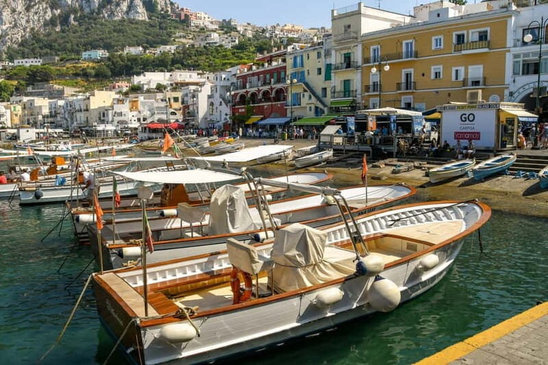 From Sorrento: Capri Land and Sea Small Group Tour - Who This Tour Is Best For
