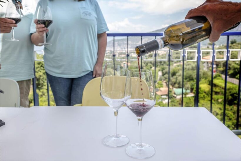 From Sorrento: Cooking School w/ View of Mount Vesuvius - Final Thoughts